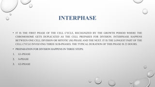 Cell cycle, Phases of Cell Cycle, Molecular events during the cell ...