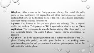 Cell cycle, Phases of Cell Cycle, Molecular events during the cell ...