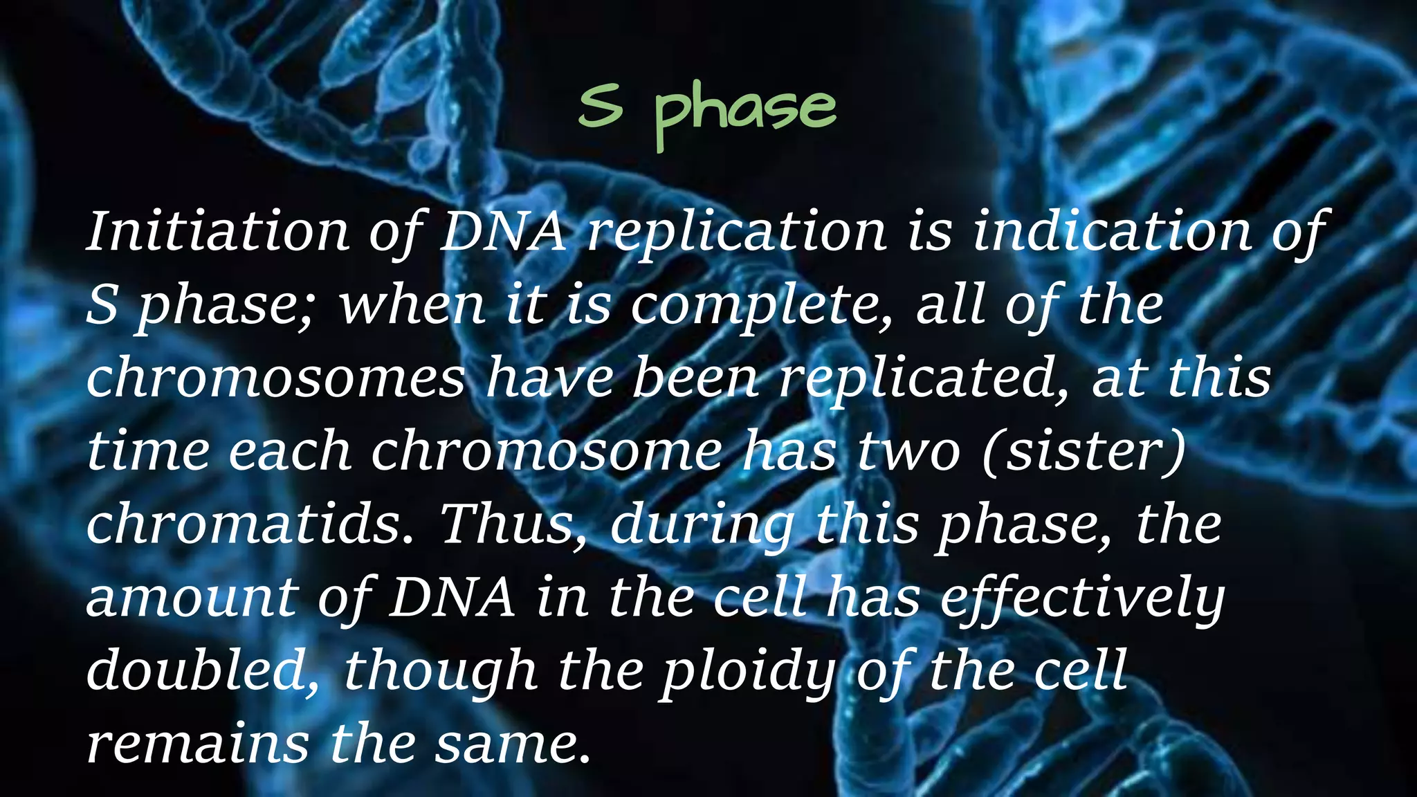 Cell cycle ppt. | PPTX