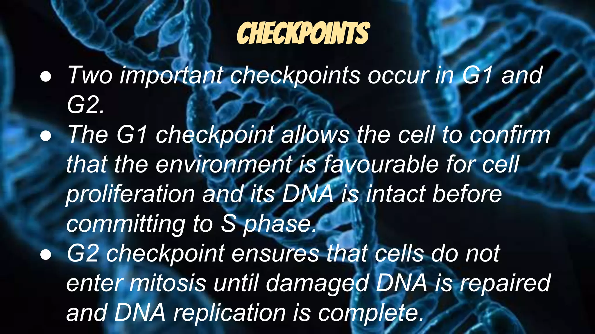 Cell cycle ppt. | PPTX | Biological Sciences | Science