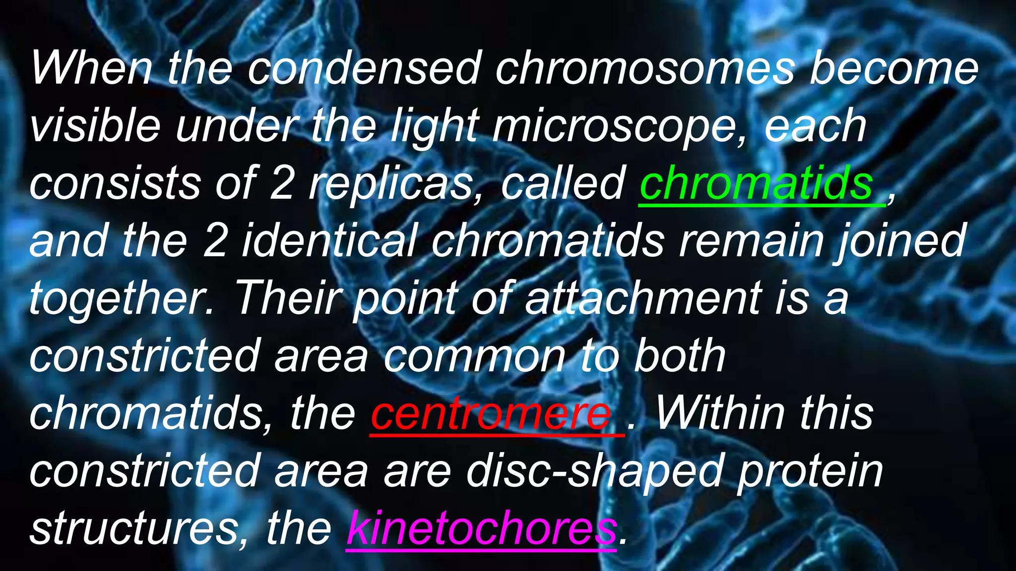 Cell cycle ppt. | PPTX