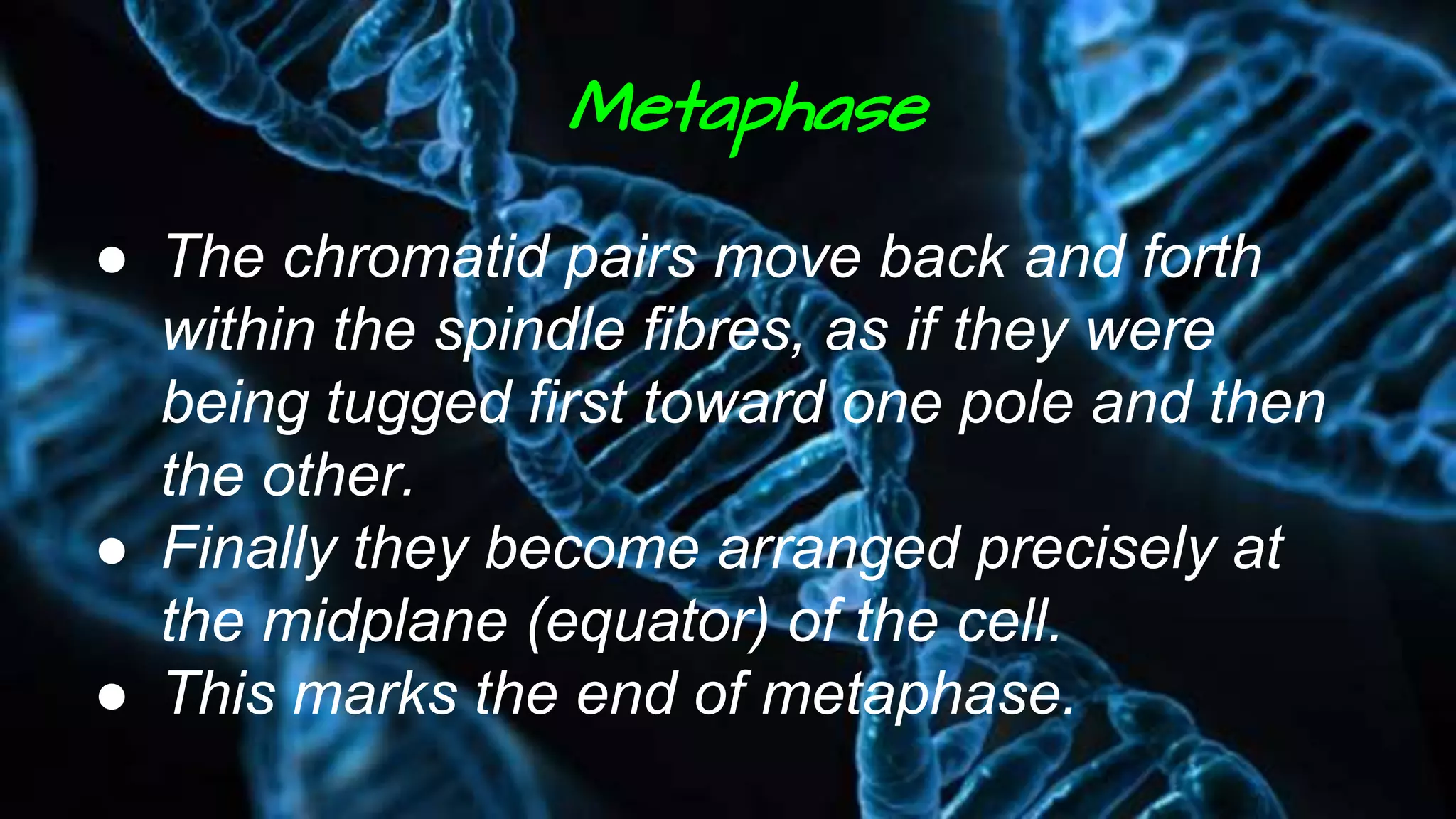 Cell cycle ppt. | PPTX