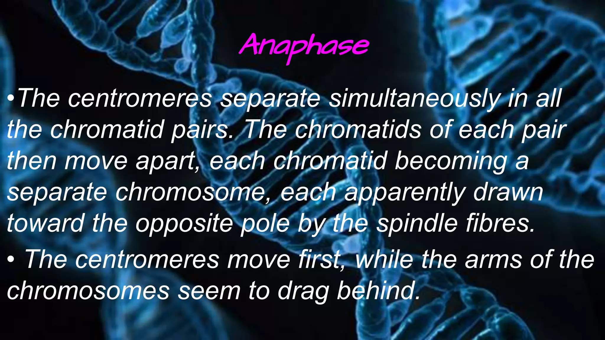 Cell cycle ppt. | PPTX