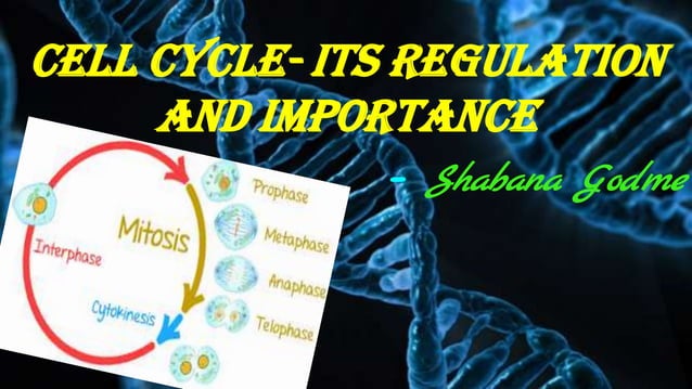 Cell cycle ppt. | PPTX | Biological Sciences | Science