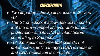 Cell cycle ppt. | PPTX
