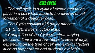 Cell cycle ppt. | PPTX