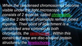 Cell cycle ppt. | PPTX