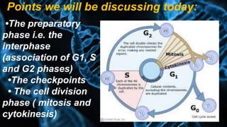 Cell cycle ppt. | PPTX