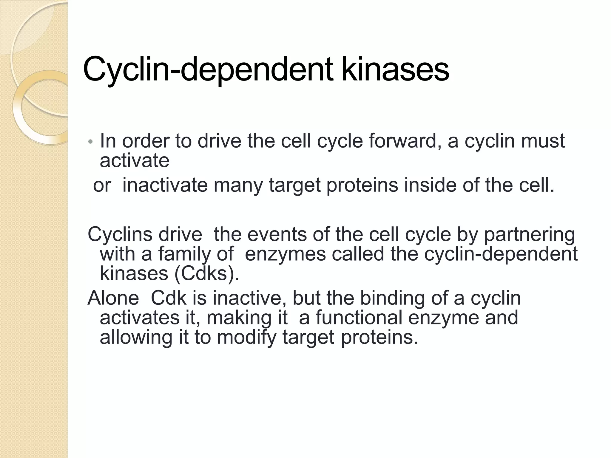 Cell cycle ppt | PPTX