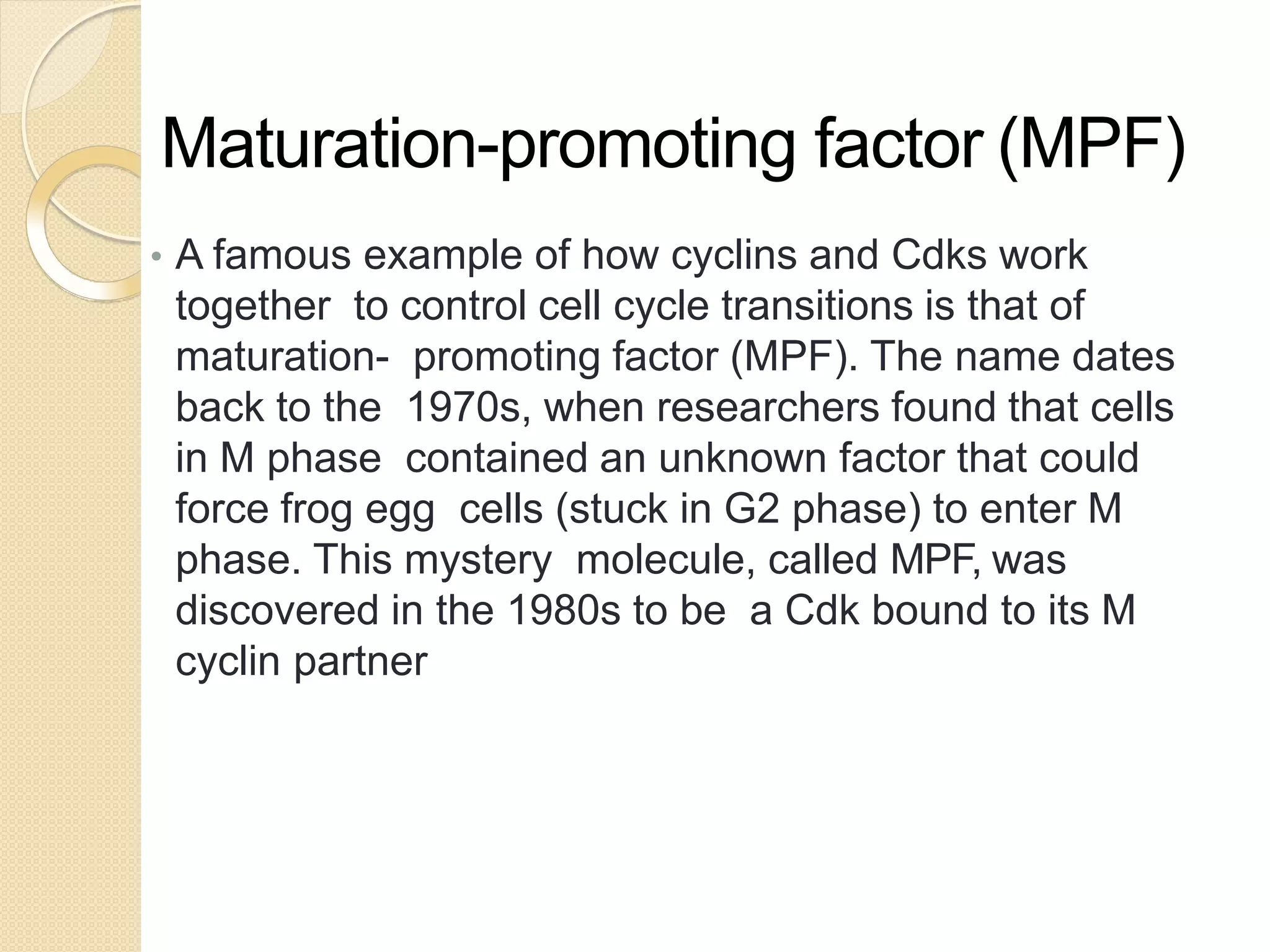 Cell cycle ppt | PPTX