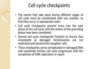 Cell cycle ppt | PPTX
