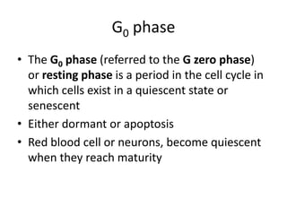 Cell cycle presentation | PPTX