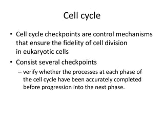Cell cycle presentation | PPTX