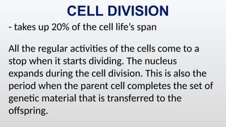 CELL CYCLE pt.2.pptx not all mine but I would like to share. | PPT
