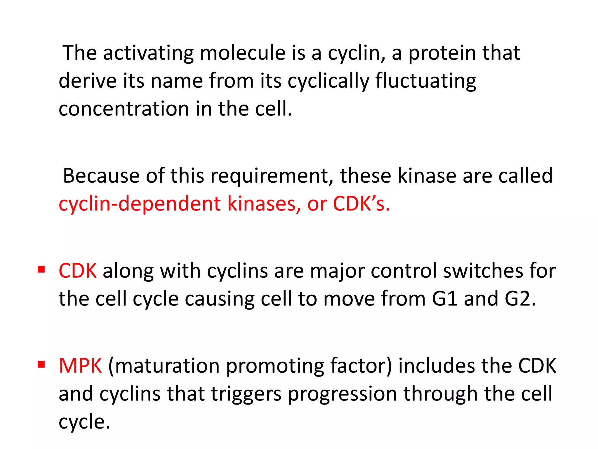 Cell cycle regulation | PPTX