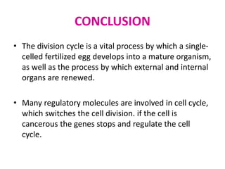 Cell cycle regulation | PPTX