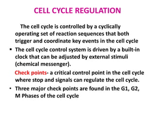 Cell cycle regulation | PPTX