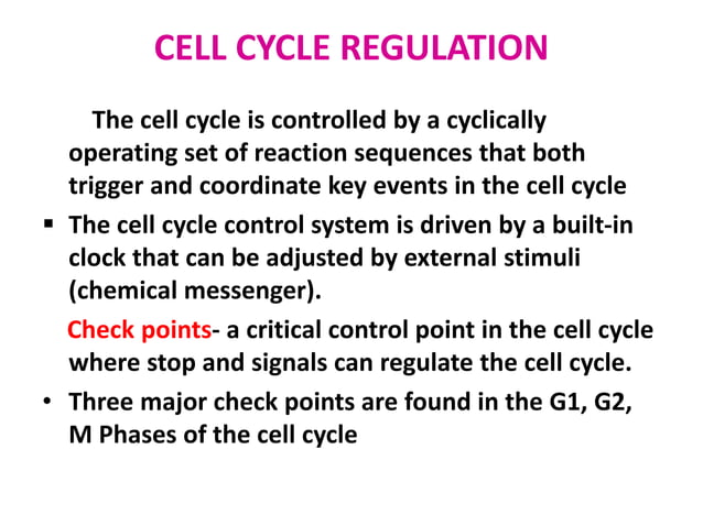 Cell cycle regulation | PPTX | Biological Sciences | Science