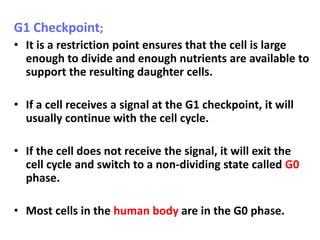 Cell cycle regulation | PPTX