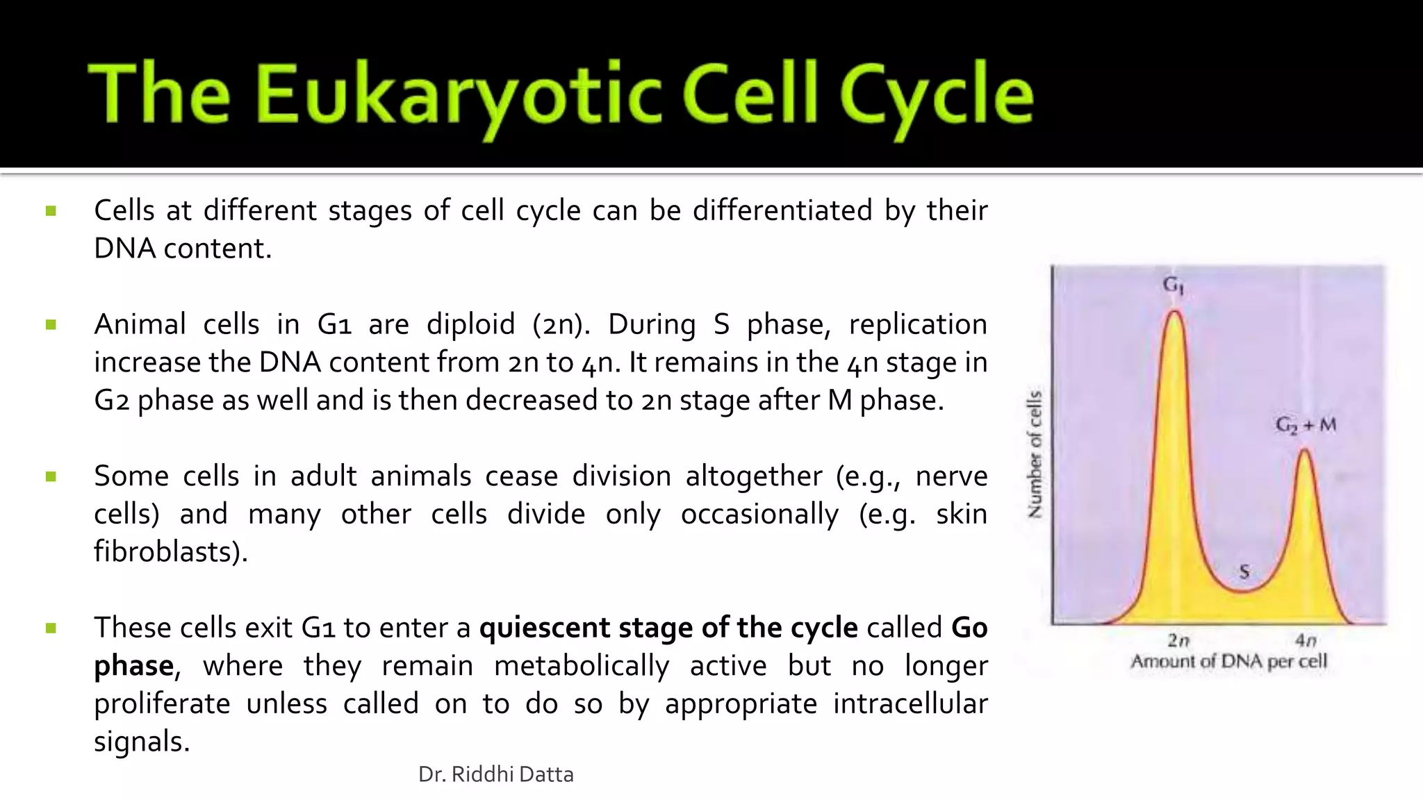 Cell cycle regulation | PPTX