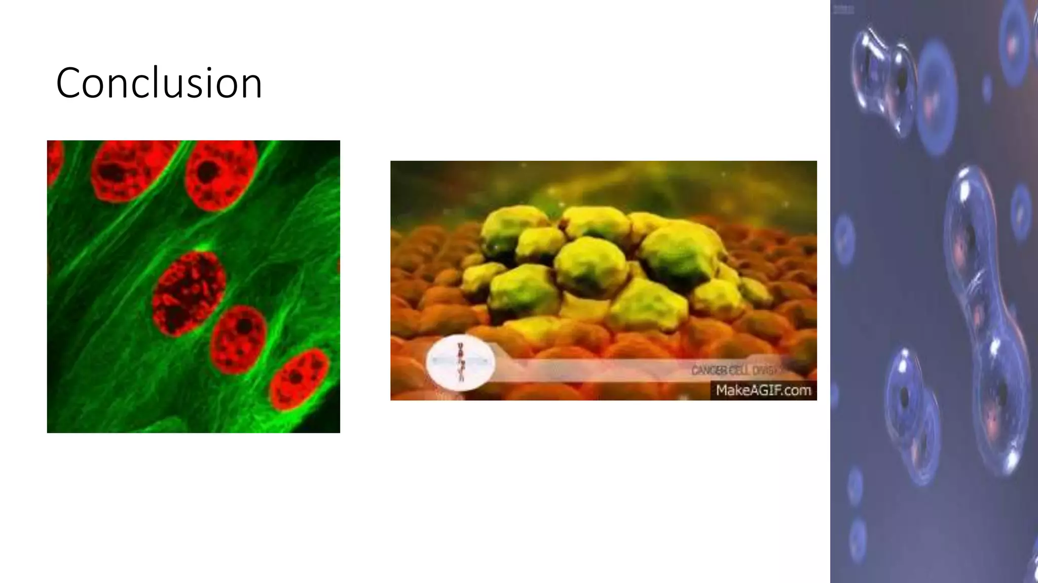 Cell cycle regulation | PPTX