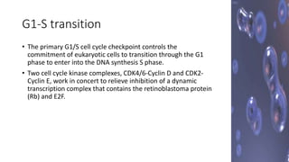 Cell cycle regulation | PPTX