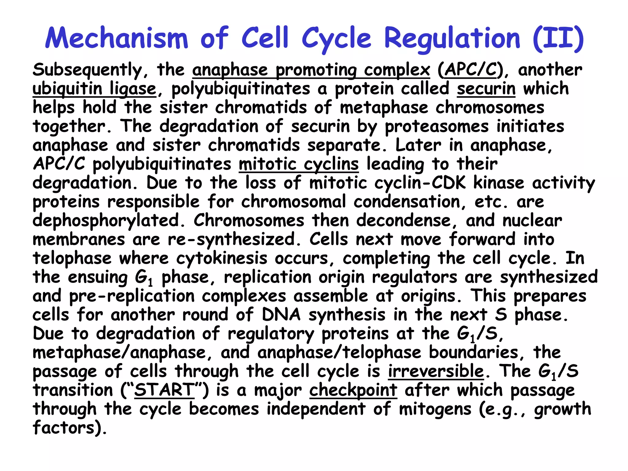 cell cycle regulation.ppt