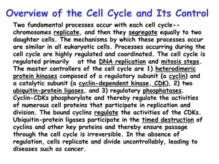 cell cycle regulation.ppt