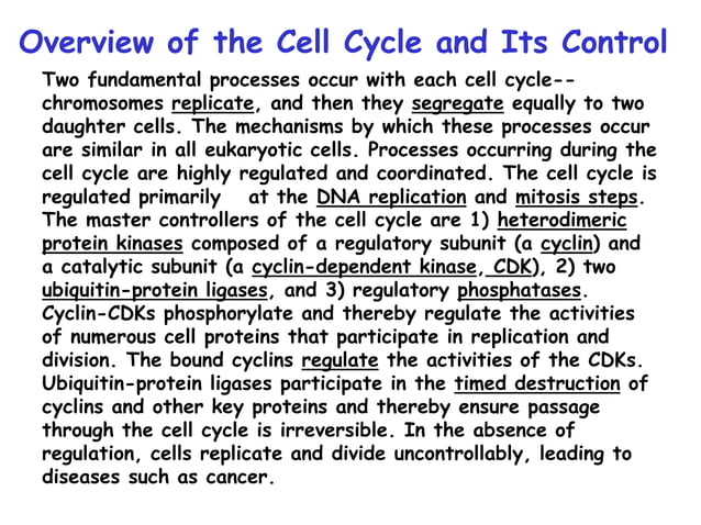 cell cycle regulation.ppt | Biological Sciences | Science