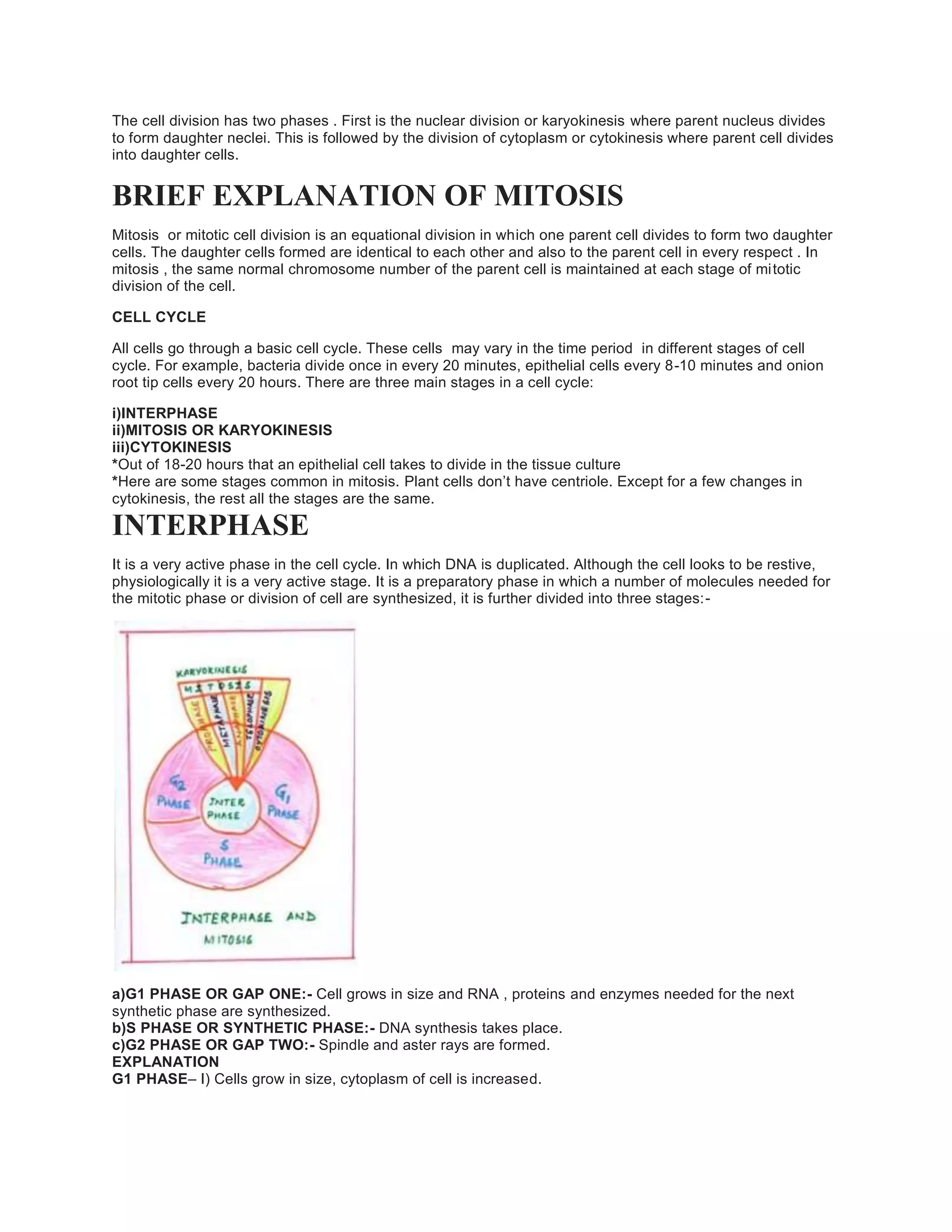 CELL CYCLE REGULATION.docx