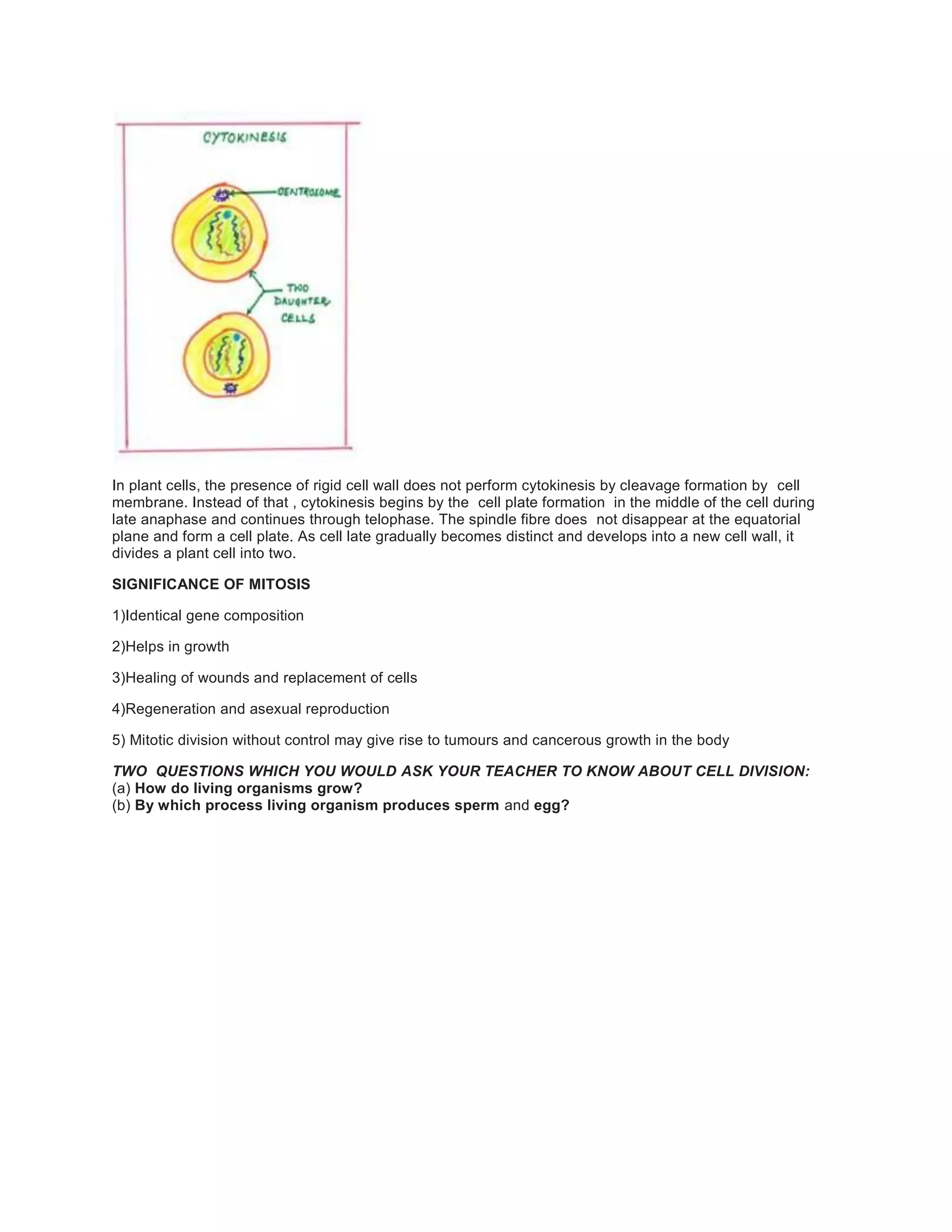 CELL CYCLE REGULATION.docx