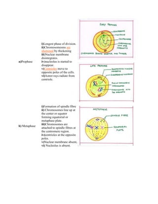 CELL CYCLE REGULATION.docx