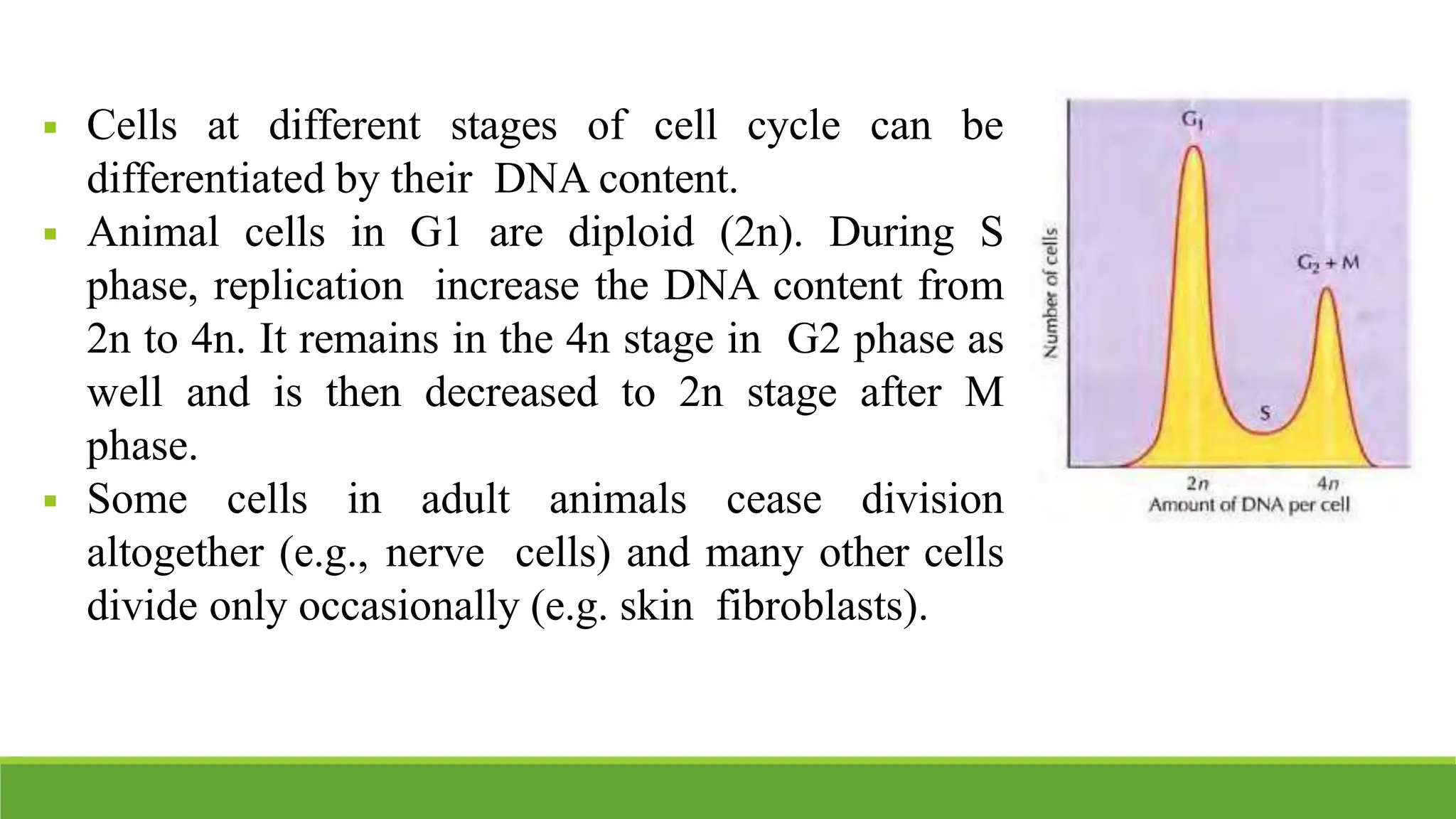 cellcycle_regulation.pptx