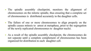 cellcycle_regulation.pptx