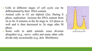 cellcycle_regulation.pptx