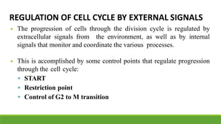 cellcycle_regulation.pptx