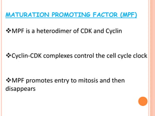 Cell Cycle Regulation | PPT