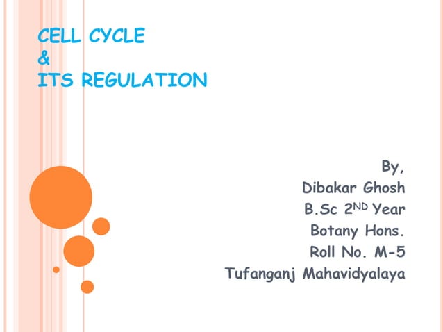 Cell Cycle Regulation | PPT