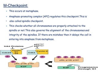 Cell cycle regulation 17BCB0016 | PPTX