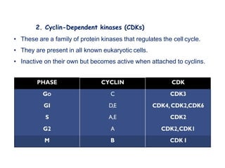 Cell cycle regulation 17BCB0016 | PPT