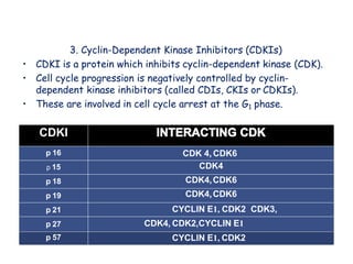 Cell cycle regulation 17BCB0016 | PPT