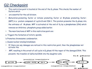 Cell cycle regulation 17BCB0016 | PPTX