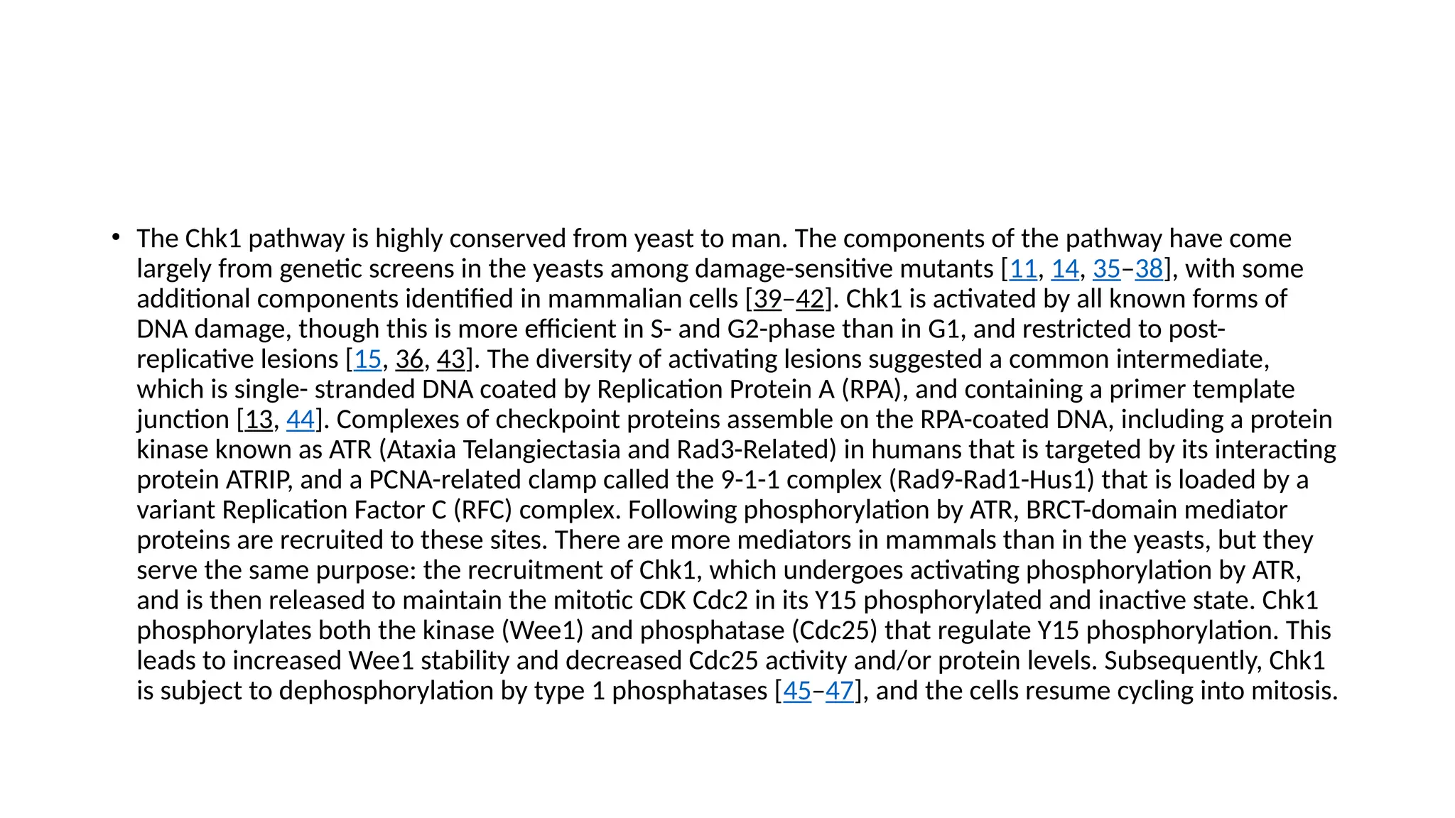 Cell Cycle Regulation By Checkpointspptx