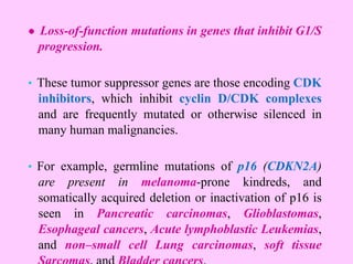 Cell cycle, regulation & cancer - PATHOLOGY.pdf