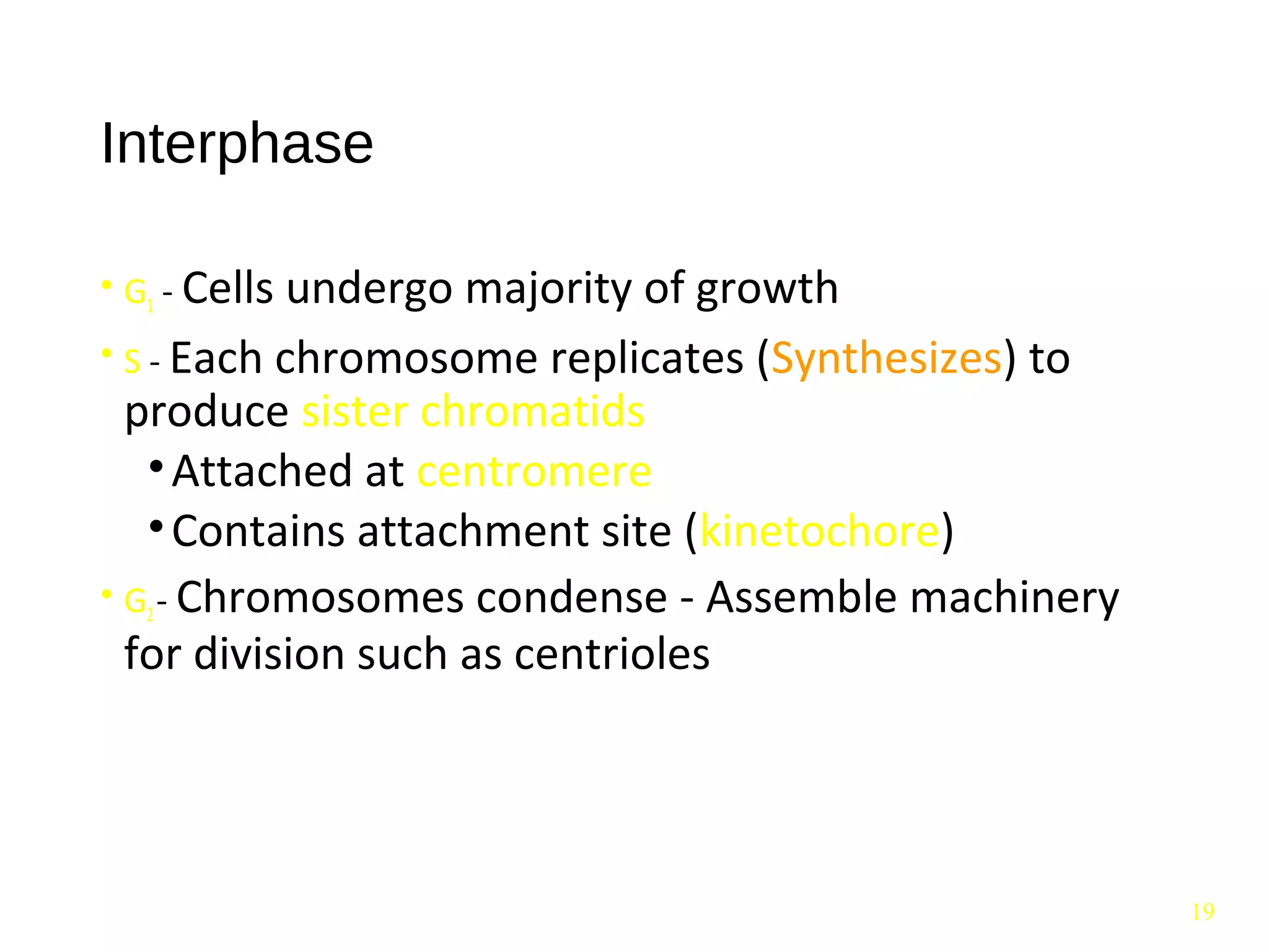 Cell cycle, its regulation and checkpoints | PPT