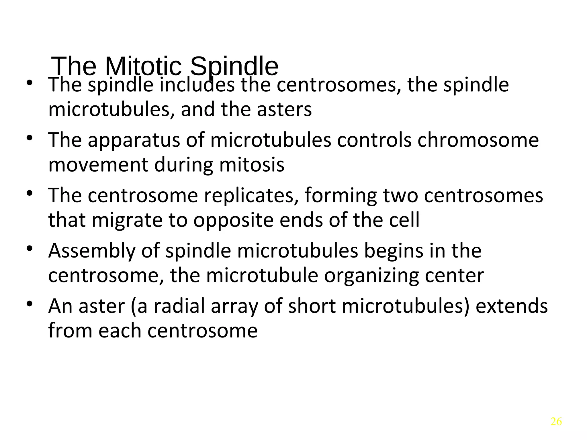 Cell cycle, its regulation and checkpoints | PPT