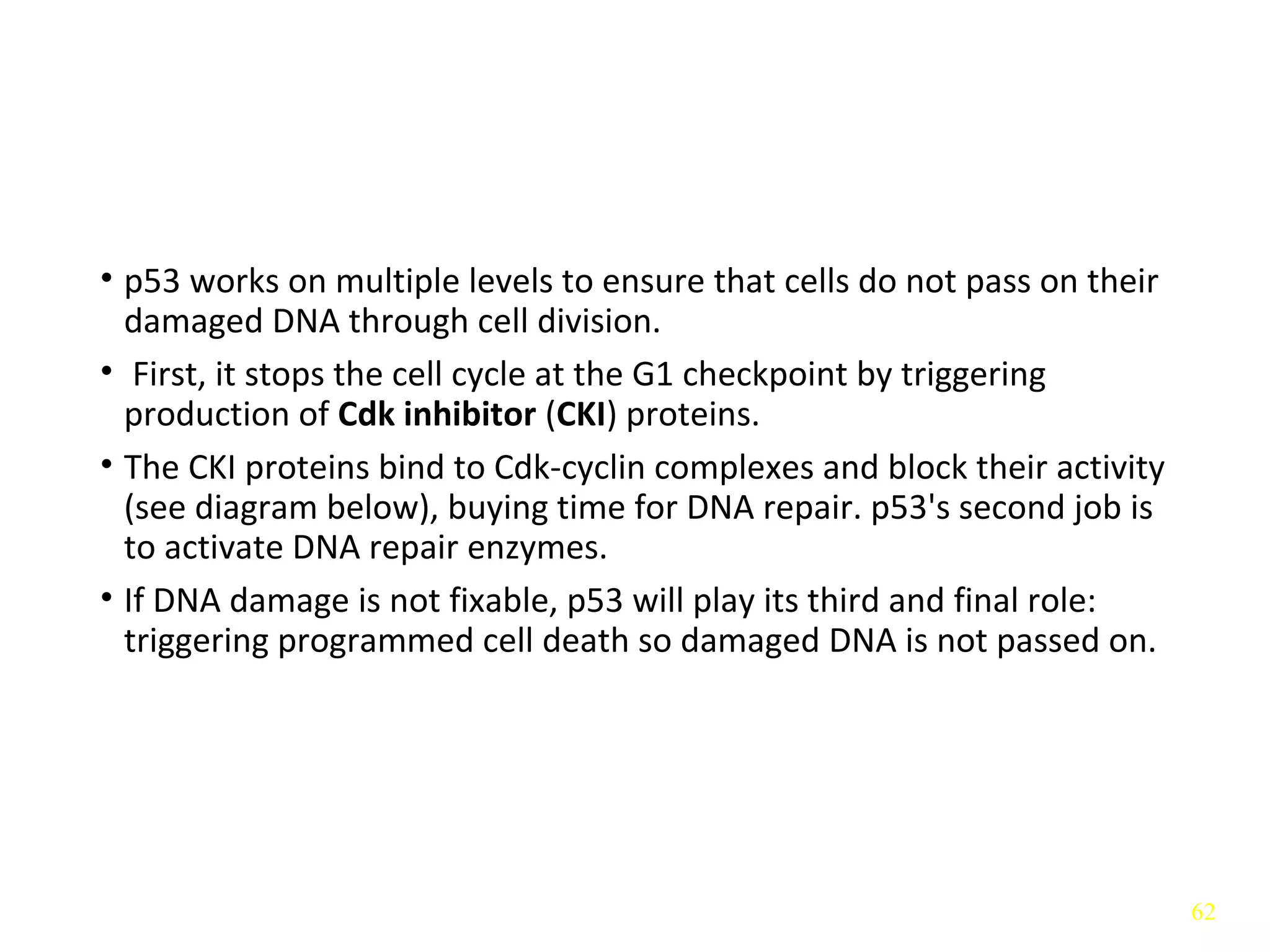 Cell cycle, its regulation and checkpoints | PPT