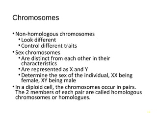 Cell cycle, its regulation and checkpoints | PPT