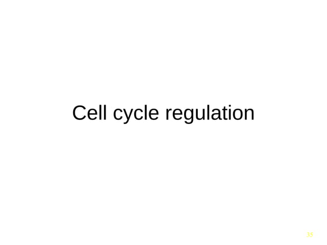 Cell cycle, its regulation and checkpoints | PPT | Biological Sciences ...
