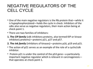 Cell cycle, its regulation and checkpoints | PPT